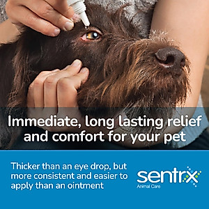 Sentrx Eye Lube Pro, Hyaluronic Acid Drops for Dogs, Cats, Horses, Dry Eye & Redness Relief Ointment, 20g