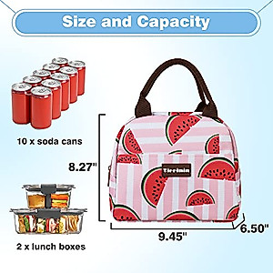 Tirrinia Lunch Bags for Women Men, Cute Insulated Lunch Tote Bag for Women, Fashionable Lunch Box for Adult, Reusable Large Cooler Lunch Bag for Working/Picnic - Pink Melon