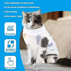 WLLHYF Cat Surgery Recovery Suit, Breathable Kitten Onesie Full Bodysuit Clothes, Post Neuter Surgery Spay Cone Anti Licking, Abdominal Wound Protector for Small Male Female Pets (Large)