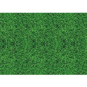 Nature Green Grass Photography Backdrops Spring Realistic Grass Lawn Photography Backgrounds Newborn Baby Shower Wedding Birthday Party Decoration Studio Props Cake Table Booth Banner 7x5ft