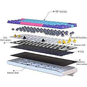 BOYI Wired 60% Mechanical Gaming Keyboard,Mini RGB Cherry MX Switch PBT Keycaps NKRO Programmable Type-C Keyboard for Gaming and Working (Joker-Color,Cherry MX Brown Switch)