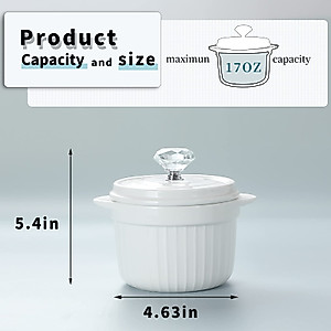 Bacon Grease Container Keeper with Crystal Lid and Strainer, 17 oz Ceramic Frying Oil Storage Can Container for Countertop (Silver)