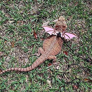 ADOGGYGO Bearded Dragon Leash Harness, 3 Size Pack Leather Wing Lizard Harness with Removable Lizard Leash for Bearded Dragon Lizard Reptiles (Pink)