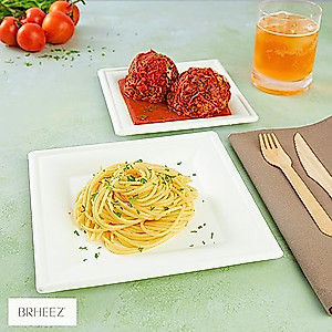 brheez 6-in Disposable Plates (60 Pack) - Eco-Friendly, Compostable Heavy Duty Square Paper Plates - 100% Natural Sugarcane Bagasse Fibre