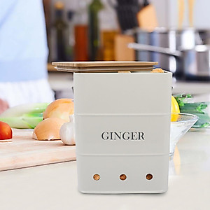 Eco-Friendly Bamboo Lid Metal Garlic Storage Box with Ventilated Countertop Vegetable Bin for Ginger, Potatoes, and Onions - Airtight, Portable Kitchen Organizer