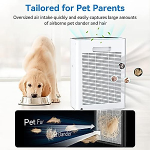Tailulu Air Purifiers for Home Large Room Up to 1614sqft, with Two H13 HEPA Air Filter-Pet Dander Version(One is already in the purifier) for Dust, Pet Dander, Smoke, Pollen