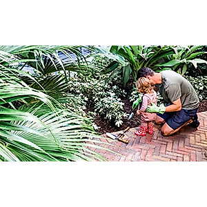 IF YOU CARE Medium Cotton Flock Lined Household Gloves, 1 Count