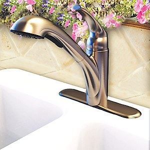 Danco 10409 Pullout Kitchen Spray Head, Brushed Nickel