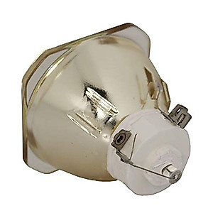 Lytio Economy for NEC NP21LP Projector Lamp (Bulb Only)