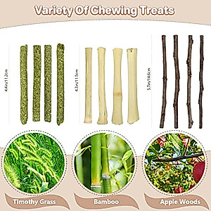 HOSFROLL Rabbit Toys, Bunny Chew Toys Cage Hanging Guinea Pig Toys Rattan Ring with 12Pcs Sticks Snacks for Rat Hamster