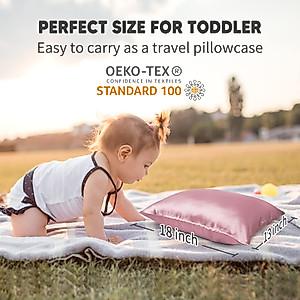 OLESILK 100% Mulberry Silk Toddler Pillowcase for Hair and Skin, Both Sides 19 Momme Pure Natural Silk Travel Pillow Cases with Hidden Zipper, 13"x 18", Light Plum