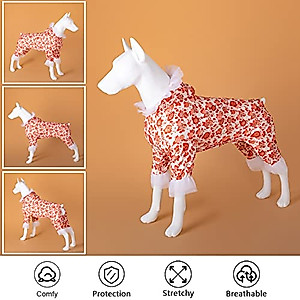 LovinPet Pitbull Dog Onesies, Anxiety Relief, Anti Licking Dog Pajamas Dog Jammies, Fashion Reflective Strap in The Park Metallic Radiant Cherry Prints Recovery Suit for Dogs Party Costume L