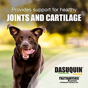 Nutramax Laboratories Dasuquin with MSM Joint Health Supplement for Large Dogs - With Glucosamine,MSM,Chondroitin,ASU,Boswellia Serrata Extract,and Green Tea Extract,2 Pack,300 Total Chewable Tablets