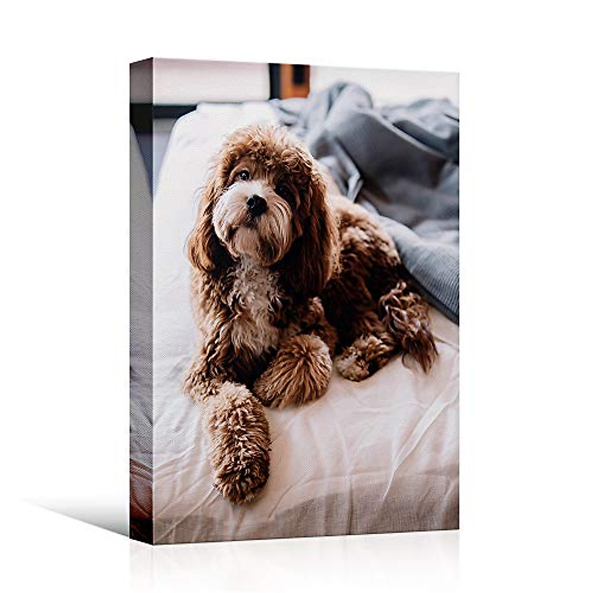 H5print Custom Canvas Prints Personalized Wall Art with Your Pet Photos/Pictures Digitally Printed - 10x8inches