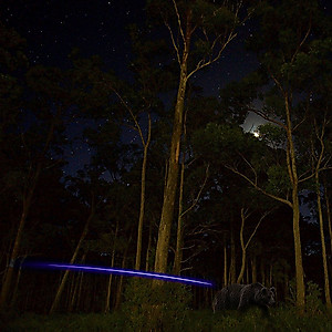 Reikawa New Nocks for Arrows with .244 Inside Diameter Nock Turn on Automatically When Shot,6 Pack