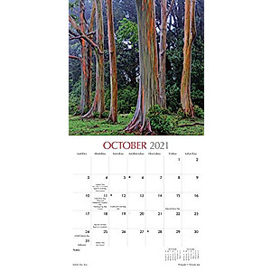 Hawaii Wall Calendar 2021