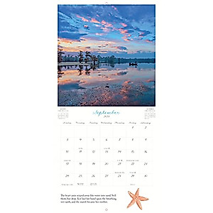Where the Crawdads Sing Wall Calendar 2023