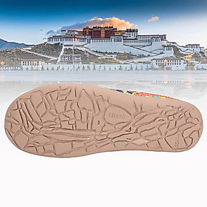 GOKIA Women's Galsang E3650 Walking Travel Shoes(Paisley, US-Size 10)