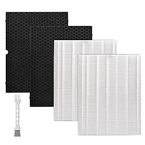 116130 Replacement Filter H for Winix 5500-2 AM80 Air Purifier True HEPA Activated Carbon Pre-Filters 2 Pack Washable Advanced Control Filter and 2 Pack PlasmaWave Odor Reducing Carbon Filters