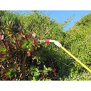 TABOR TOOLS 2.0 Gallon Lawn and Garden Pump Pressure with Pressure Relief Valve, Adjustable Shoulder Strap, and Adjustable Wand Nozzle (2.0 Gallon, Yellow Wand). N80A.