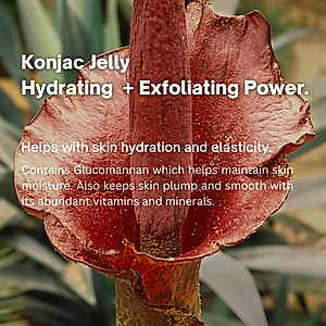 Gentle Exfoliating Scrub for Face & Body by ParadiseGal - Korean Skincare Set with Coconut & Glycolic Acid Jelly Scrub + Konjac Sponge & Bag - Ideal for Smoothing Rough Skin, KP, Cellulite