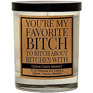 You're My Favorite Bitch to Bitch About Bitches with, Best Friend, Friendship Gifts for Women, Christmas, Birthday Gifts, Going Away Gifts, Funny Gifts for Friends, Funny Candle, Soy 10 oz. Candle