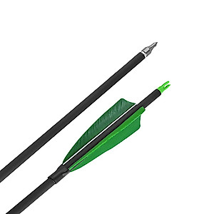 ZSHJGJR 6/12pcs 31" Archery Carbon Arrows Spine 500 Hunting Target Arrows with 4 inch Turkey Feather for Compound Recurve Bow Shooting Practice (Green, 12pcs)