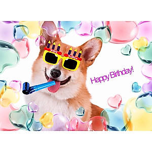 CafePress Happy Birthday Corgi Folded Greeting Card Glossy