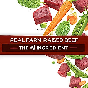 Purina Beneful Originals With Farm-Raised Beef, Real Meat Dog Food - 31.1 lb. Bag