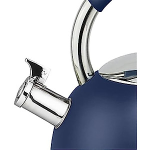 Stovetop Tea Kettle Whistling Teapot Tea Kettle 3L Whistling Tea Kettle 304 Stainless Steel Whistle Kettle Teapot Universal Stovetop Kettle Stove Top Kettle Tea Pot (Color : Red, Size : 20 * 24.5cm)