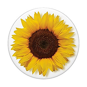 sunflower blossom yellow floral flower PopSockets Swappable PopGrip