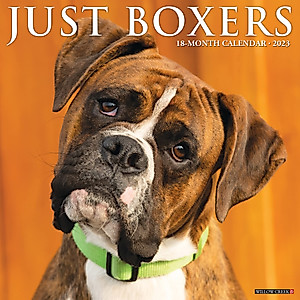 Just Boxers 2023 Wall Calendar