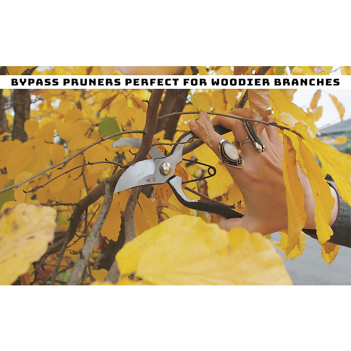 Skyhaven Harvest Bypass Pruning Shears 8 Inch Japanese-style Forged Carbon Steel Garden Scissors, Gardening Tools Hand Pruner with Ergonomic Handle.