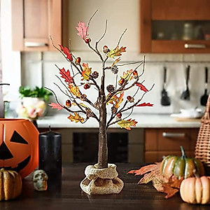 Monsense 24 Inch Artificial Fall Oak Maple Tree, Lighted Fall Decorations for Home, Fall Centerpieces for Tables, Perfect for Thanksgiving, Autumn, Wedding and Halloween Decor