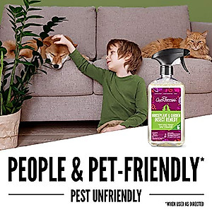 Aunt Fannie’s Houseplant & Garden Insect Remedy, Indoor and Outdoor Plant Insect Killer (6-Pack)