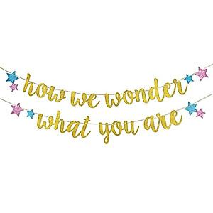 How We Wonder What Your are Glitter Banner Pre-Strung for Twinkle Twinkle Little Star Gender Reveal Party Decorations