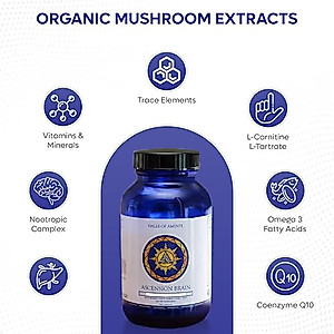 Ascension Brain Health Supplement (100 Cap)