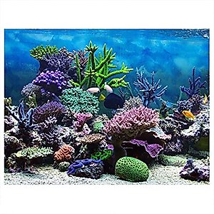 FILFEEL Aquarium Background Fish Tank Decorations Pictures PVC Adhesive Poster Underwater Coral Backdrop Decoration Paper Cling Decals Sticker(76 * 30cm)
