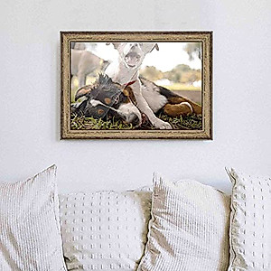 14x22 Frame Tarnished Silver Solid Wood Picture Frame Width 1.5 Inches | Interior Frame Depth 0.5 Inches | Oddone Traditional Photo Frame Complete with UV Acrylic, Foam Board Backing & Hanging