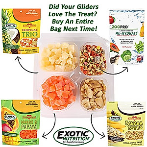 Sugar Glider Treat Variety Pack (9.5 oz.) - Healthy Natural Sugar Glider Treat Assortment - Yogurt Drops, Crunchez Berry Blend, Dried Papaya, Dried Pineapple - Sampler Variety Value Package