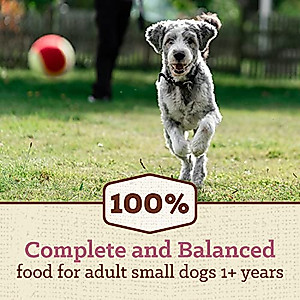 NUTRO MAX Adult Mini Chunk Recipe Dry Dog Food With Farm-Raised Chicken, 25 LB Bag