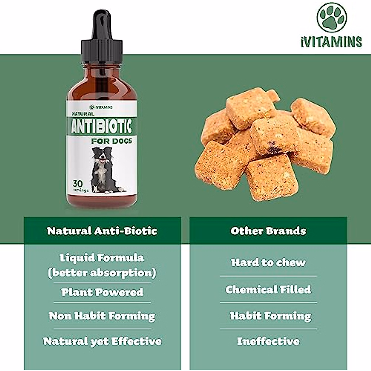 Dog Antibiotics - Antibiotics for Dogs - Antibiotic for Dog - Yeast Infection Treatment for Dogs - Dog Yeast Infection Treatment - Dog Ear Infection Treatment Antibiotic - Bacon Flavored (1 Pack)