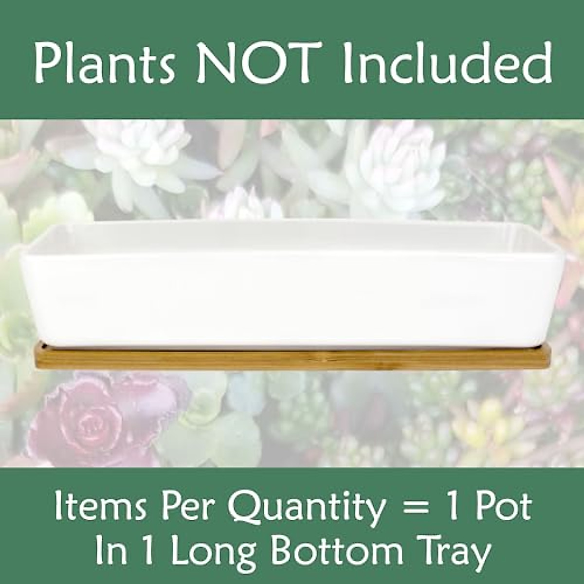 Ceramic Succulent Pots - 1 Pot - Long Rectangle - with Bamboo Tray - White - 11"