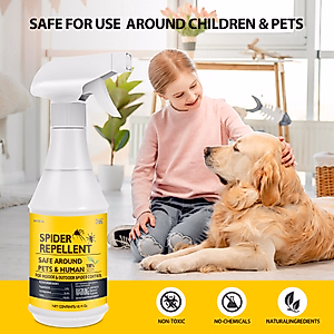 BugBai Spider Repellent for House Indoor Pet Safe, 16oz Peppermint Oil Spider Spray Outdoor Repels All Spiders, Natural Spider Killer to Get Rid of Spiders in House, Bedroom, Basement, Bathroom, Car