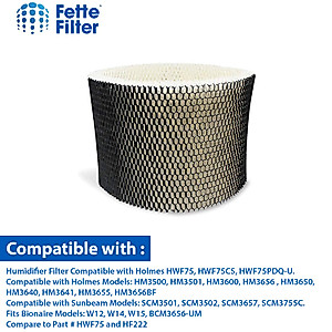 Fette Filter - HWF75 Replacement Wicking Filter Compatiable with Holmes Filter D HWF75 HWF75CS HWF75PDQ-U HF222 & Sunbeam Cool Mist Humidifier Models 3000 Series. Pack of 2
