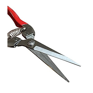 Garden Guru Straight Stainless Steel Pruner Pruning Shears Clippers Snips – Sharp Bonsai Plant Trimming Scissors – Straight Blade Garden Scissors Tool – Great for Roses Flowers Herbs Fruits