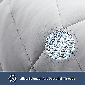 Dr. Oz Good Life Center Yourself Dual-Sided Weighted Blanket, 36"x48" 5 lb, Gray/Tan