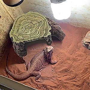 Reptile Habitat Cave Tortoise Basking Platform Turtle Tree Stump Hideout Cave Lizard Dock Resting Terrace Terrarium Accessories Aquarium Decor for Tortoise Lizard Chamelon Gecko Iguana