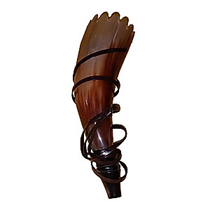 Reed Horn Viking Blowing Horn with Horn Whistle - Handcrafted Ox Horn Bugle - Medium Sound - Festivals, Ceremonies - Medieval Horn Instrument (With Leather Cord-8 Inch)