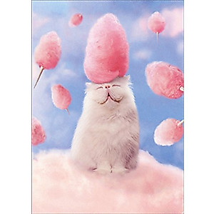 Cotton Candy Cat Avanti Humorous/Funny Birthday Card for Her